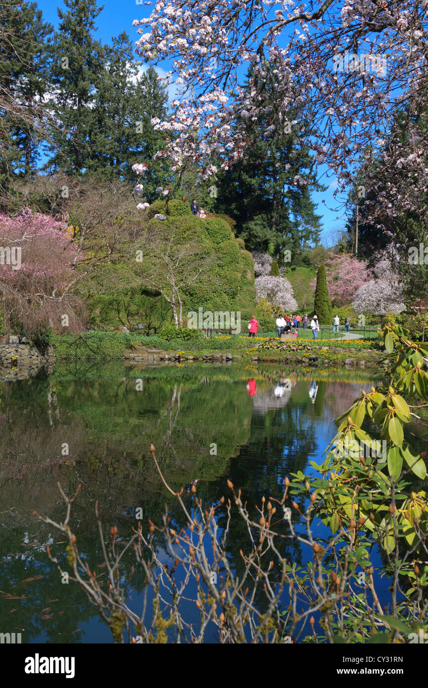 Sunken gardens at the butchart hi-res stock photography and images - Alamy
