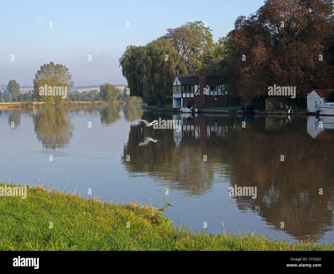 Flies low over water hi-res stock photography and images - Alamy