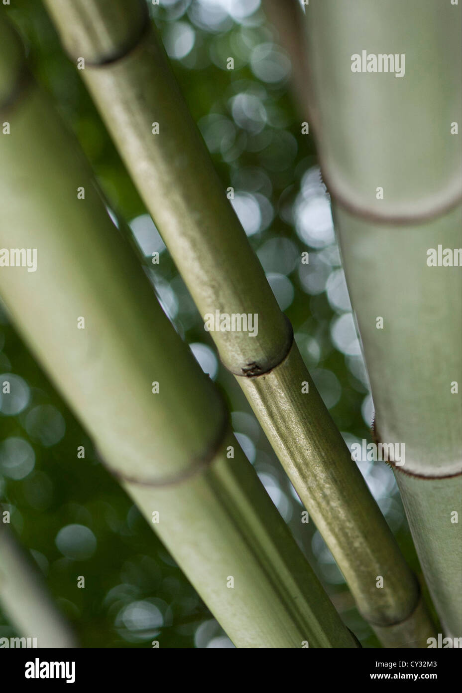 Semi diagonal hi-res stock photography and images - Alamy