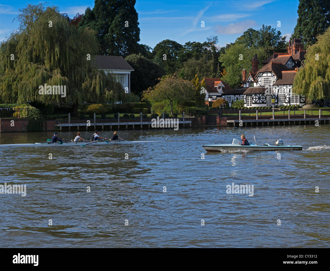 Rowers on the Thames River in Maidenhead, Berkshire. Rowers in a ...
