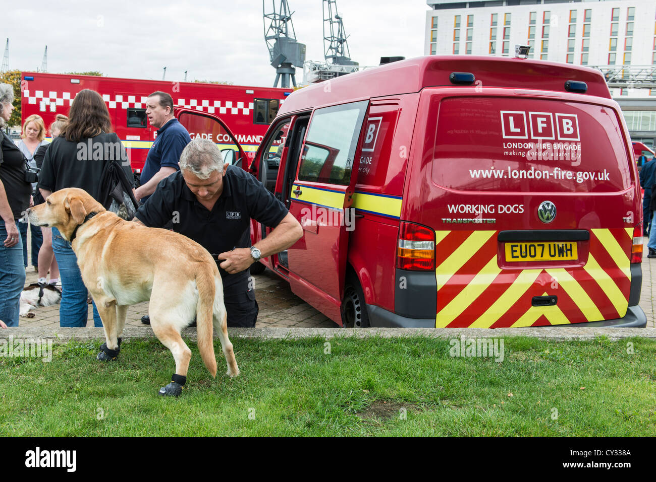 Emergency Rescue Dog Stock Photos & Emergency Rescue Dog Stock Images ...
