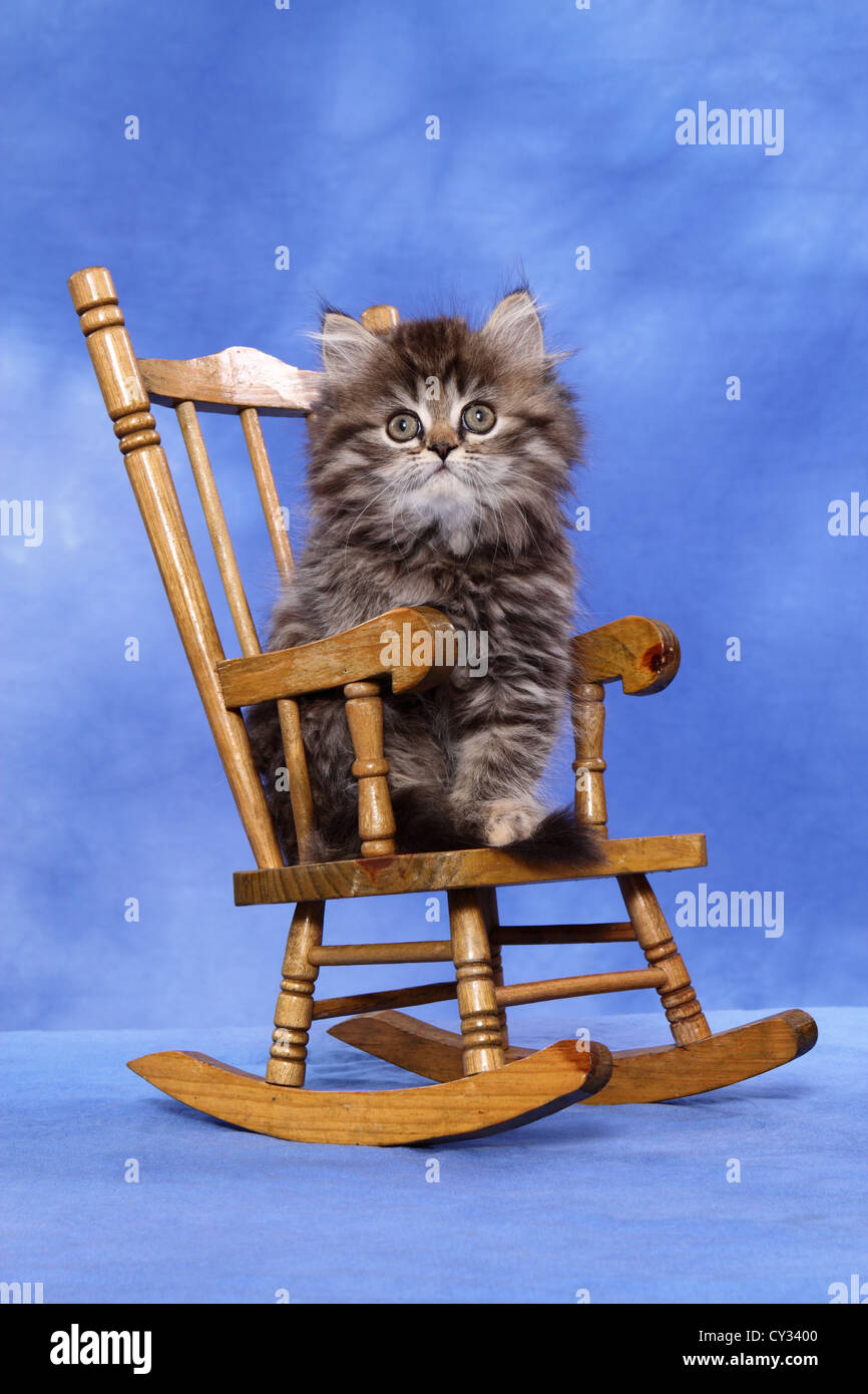 Rockingchair hi-res stock photography and images - Alamy
