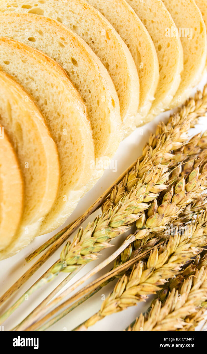Bread and cereal ears on a white background Stock Photo - Alamy