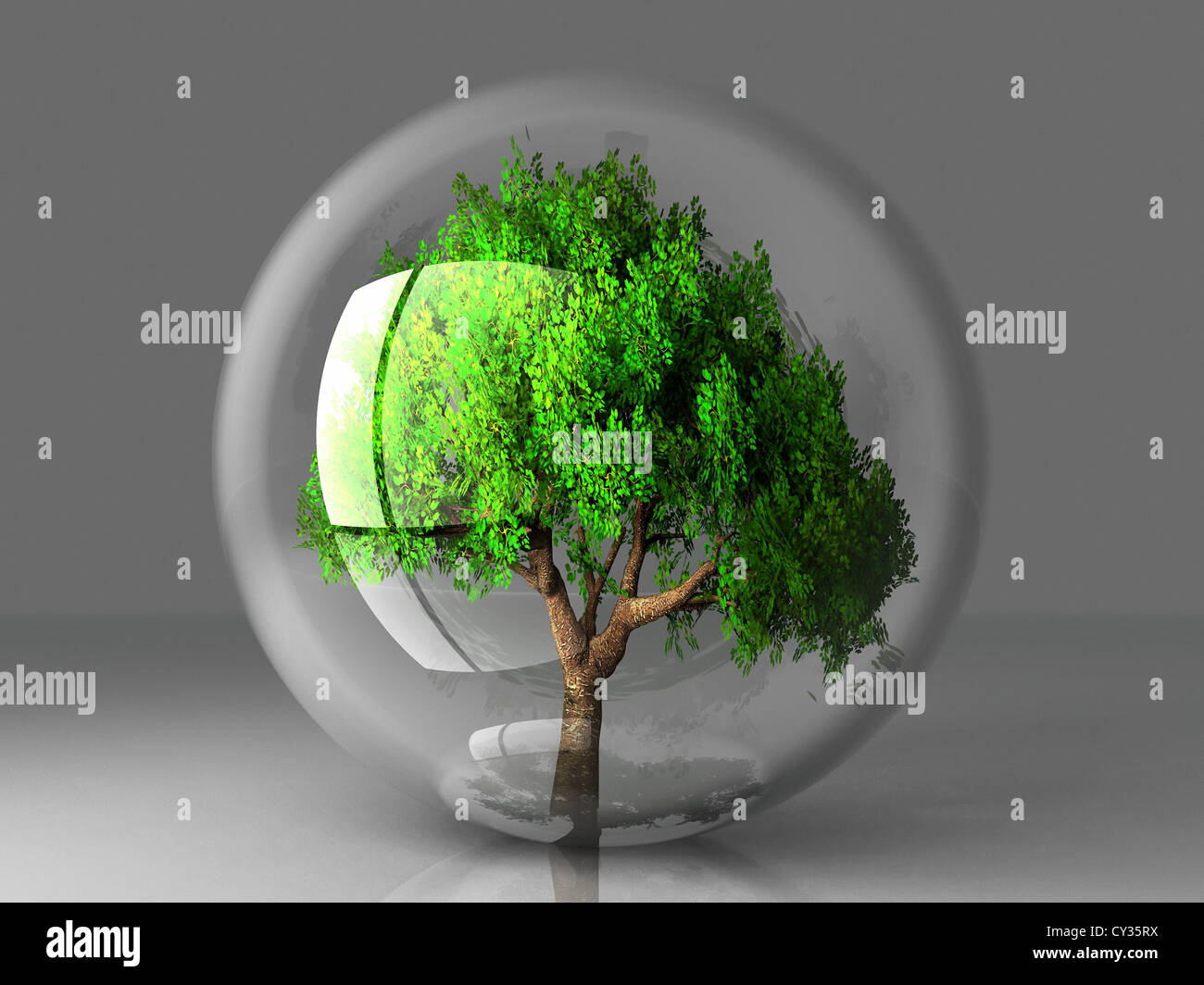 a green tree in a transparent bubble Stock Photo - Alamy