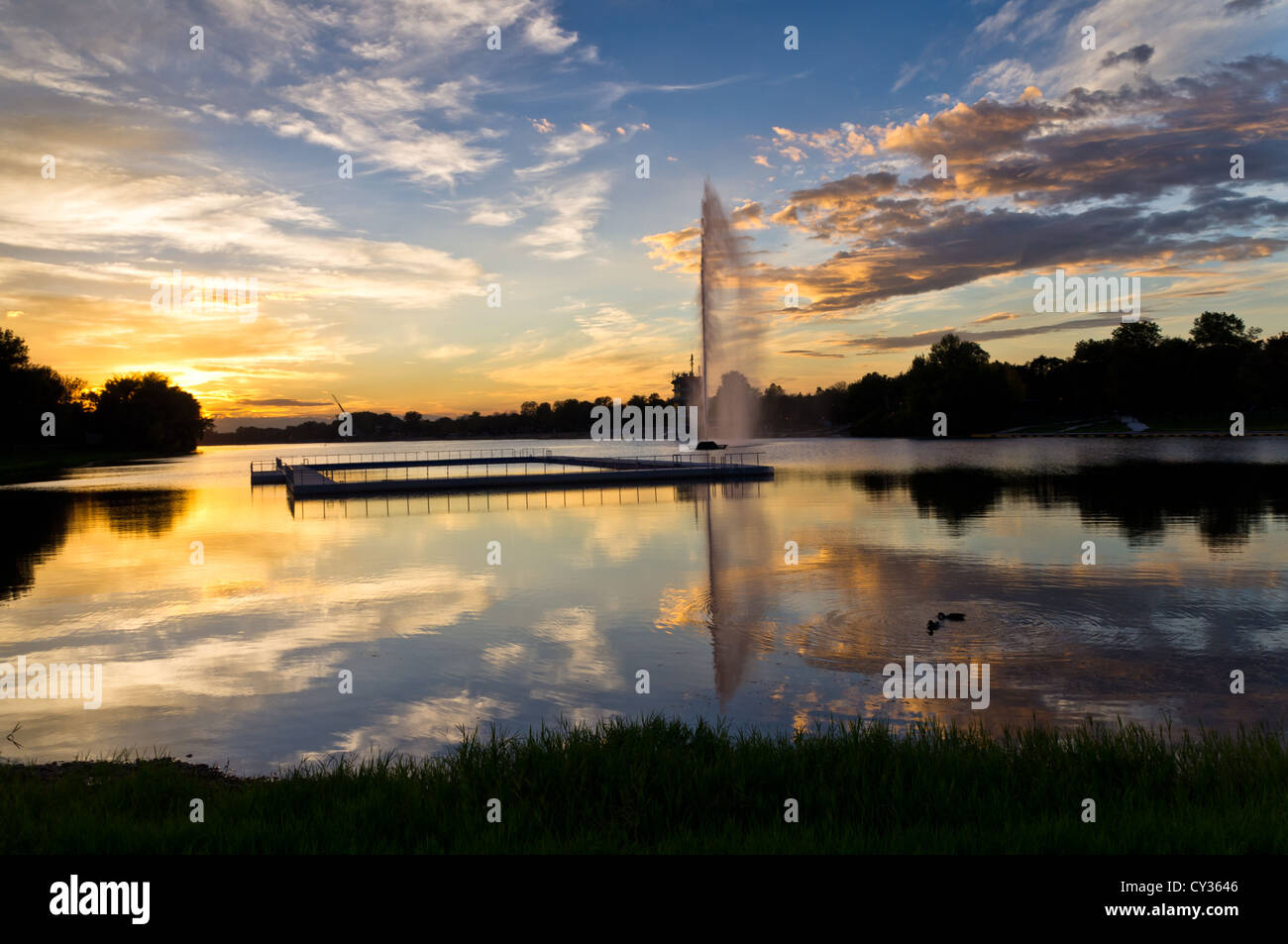 Ducks on Ada lake in the evening Stock Photo - Alamy