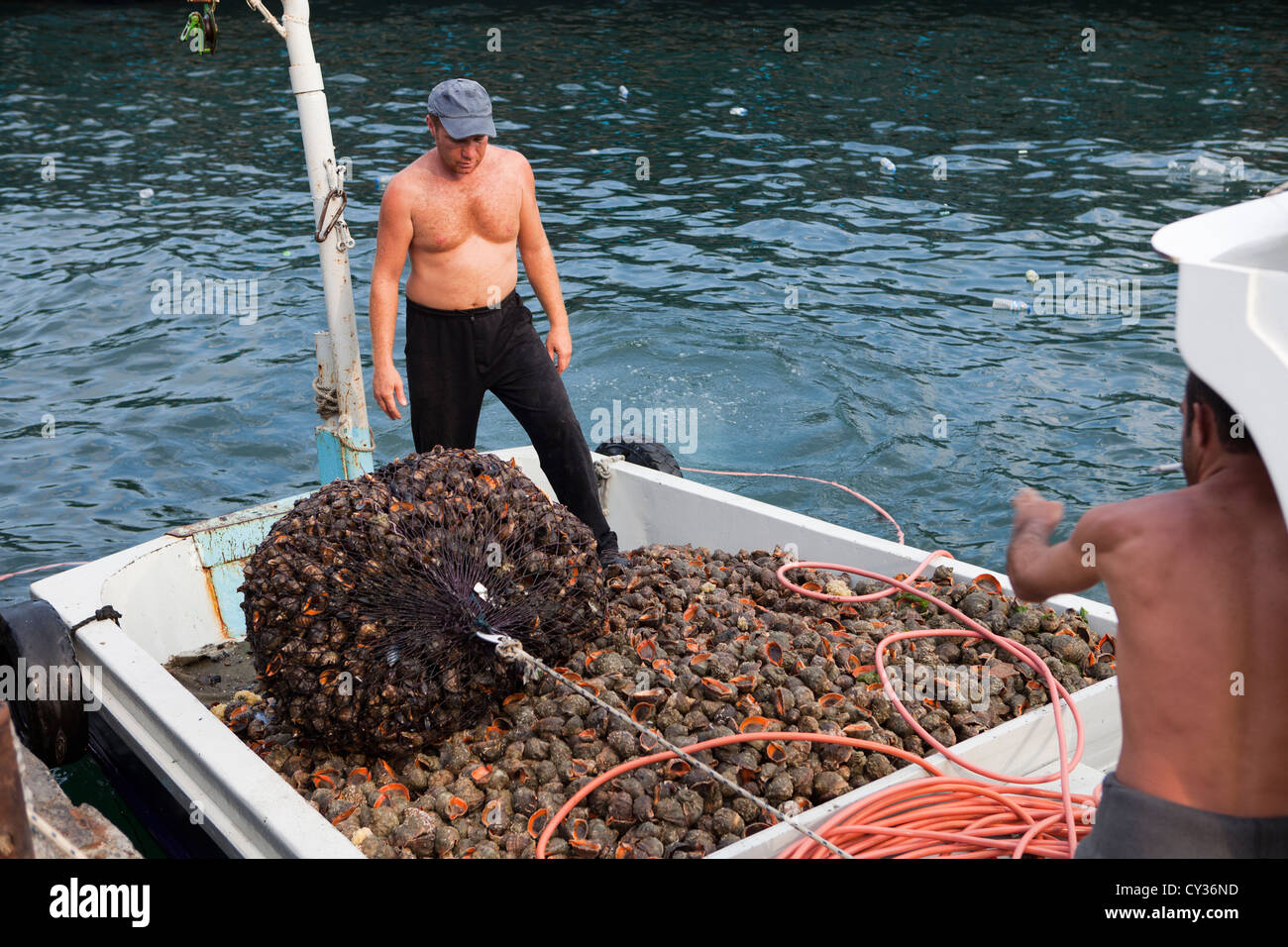 Mussel fishing hi-res stock photography and images - Alamy