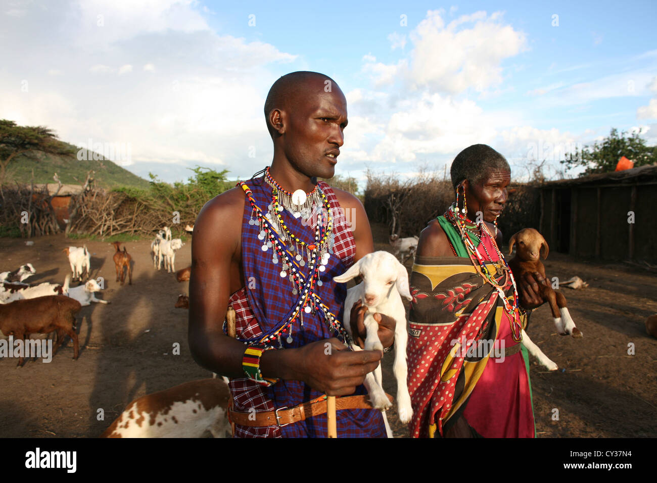 Masai herder hi-res stock photography and images - Alamy