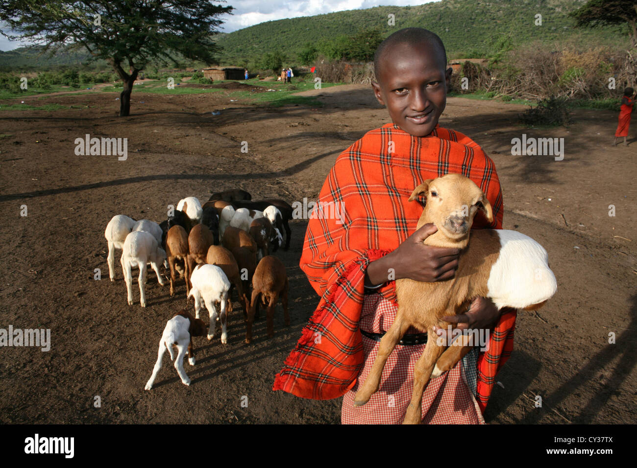 Maasai tribe in Kenyafarming, farm, agriculture, goat, goats, sheep ...