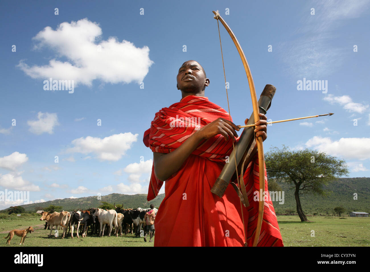 Masai man hunting bow kenya hi-res stock photography and images - Alamy