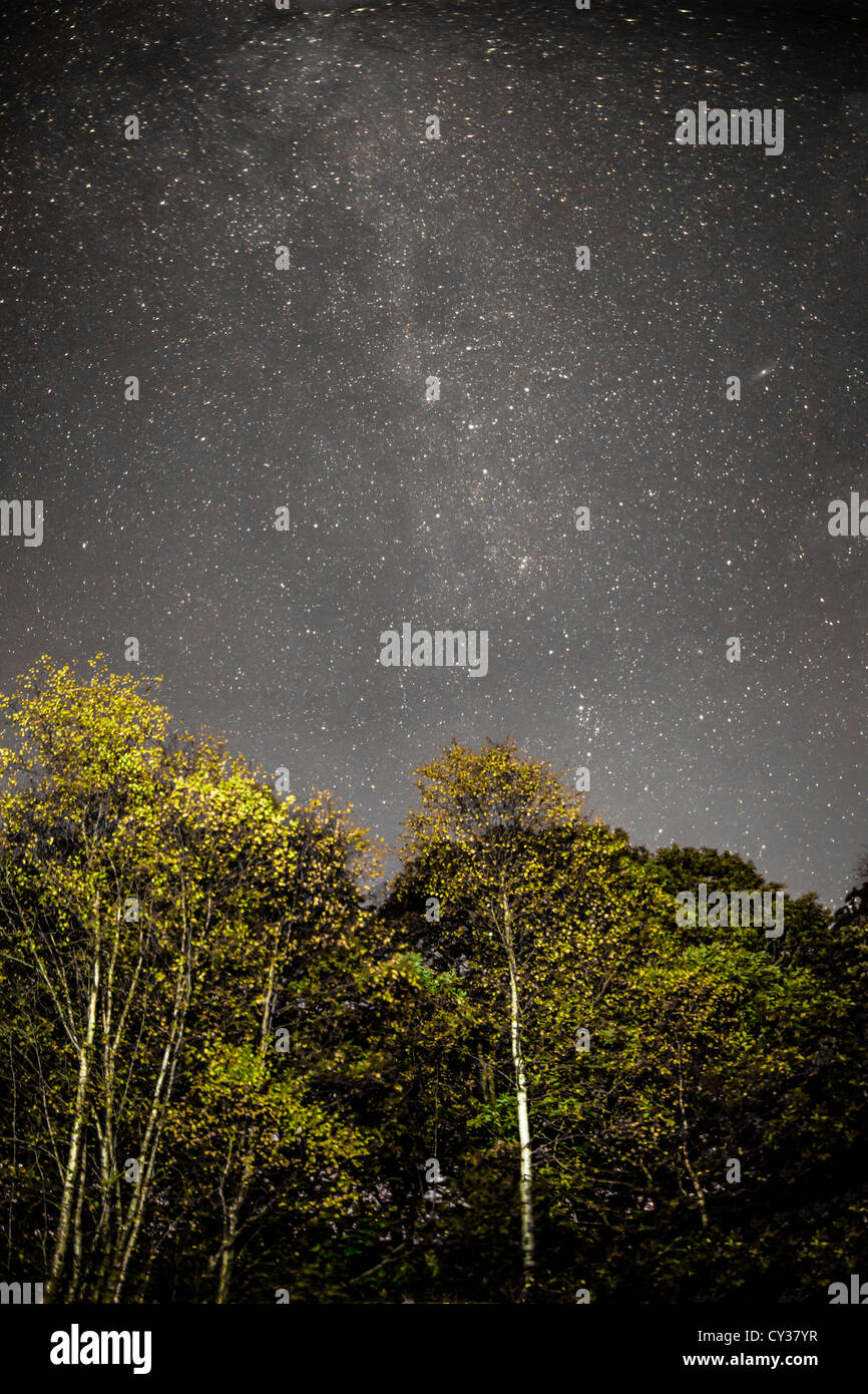 Night sky autumn stars hi-res stock photography and images - Alamy