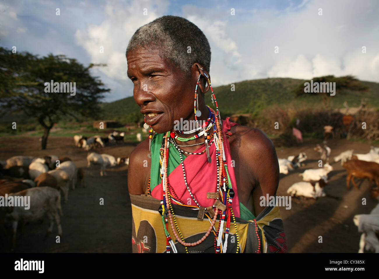 Goats tribe hi-res stock photography and images - Alamy