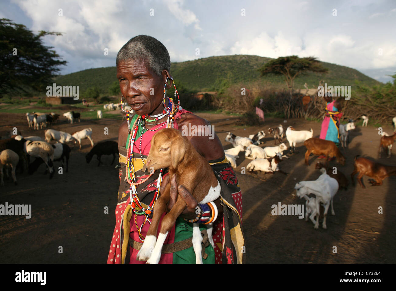 Maasai tribe in Kenyafarming, farm, agriculture, goat, goats, sheep ...