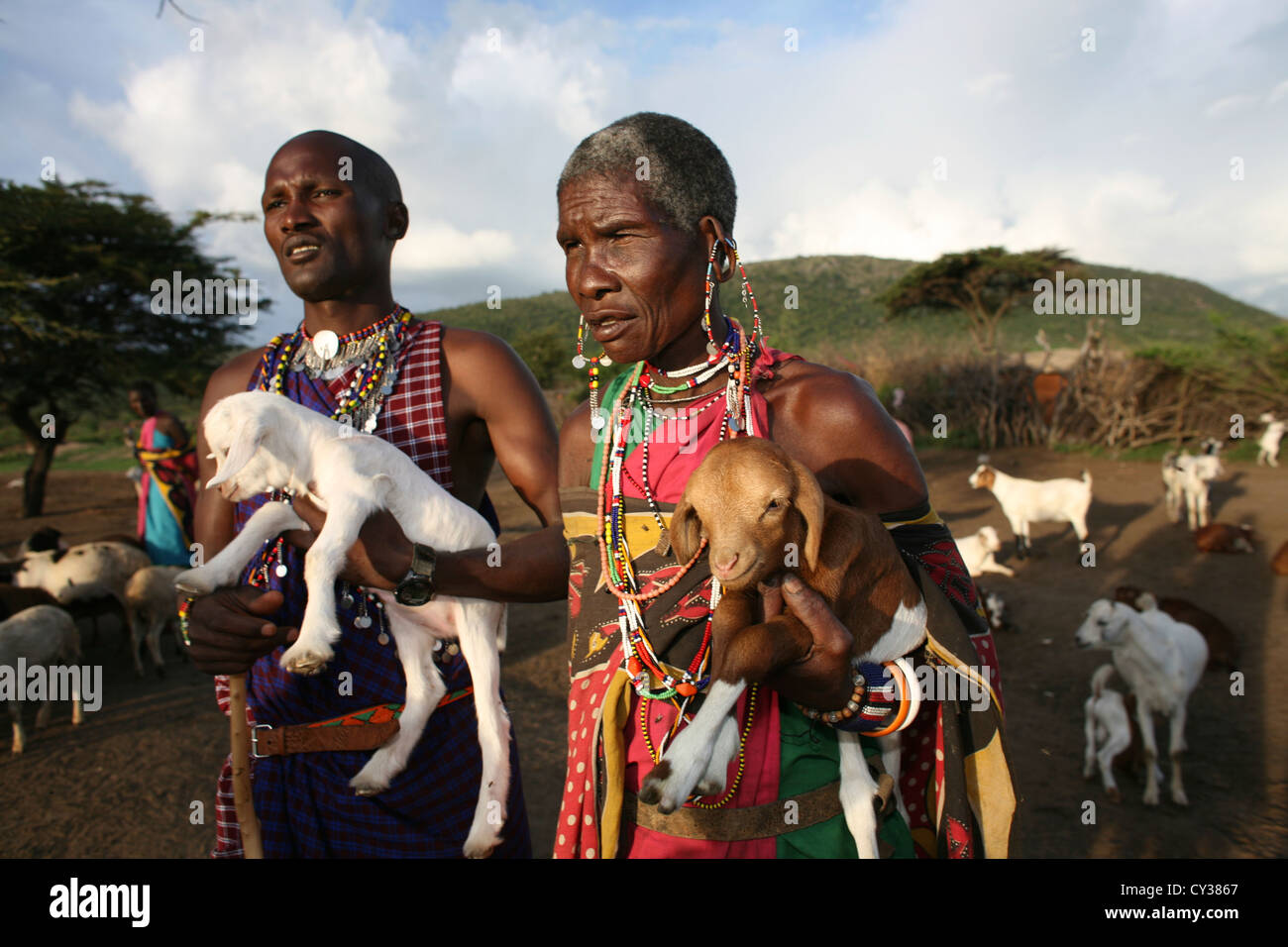 Maasai tribe in Kenyafarming, farm, agriculture, goat, goats, sheep, animal, herd, herder ...