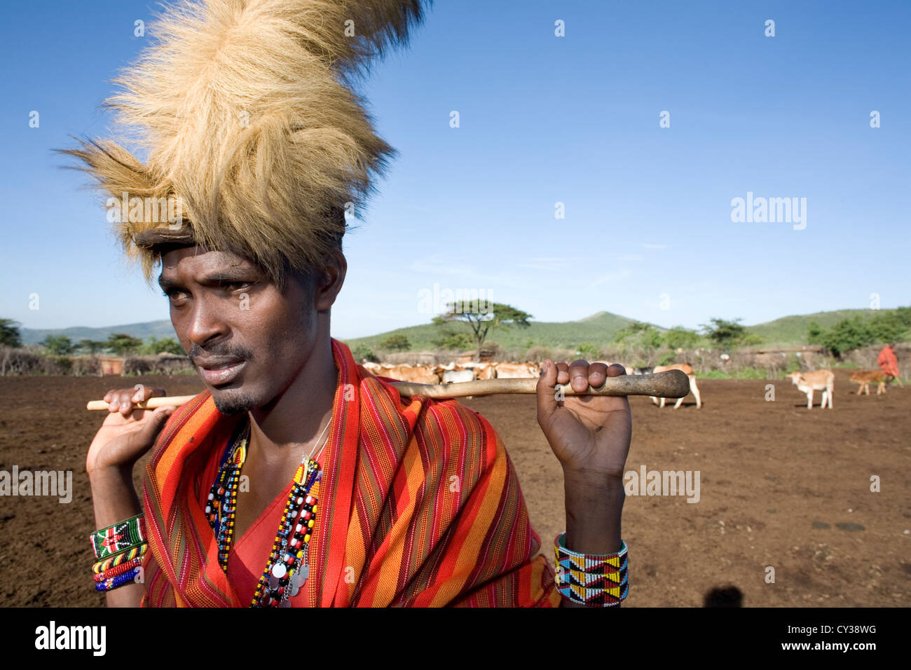 Kenya tribe lion hi-res stock photography and images - Alamy