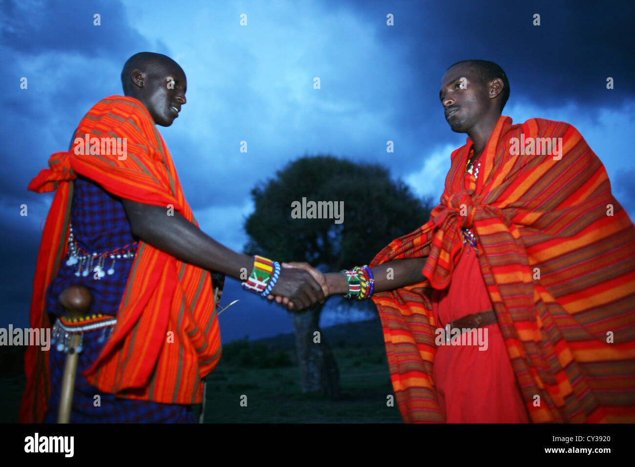 Traditional African Handshake High Resolution Stock Photography and ...