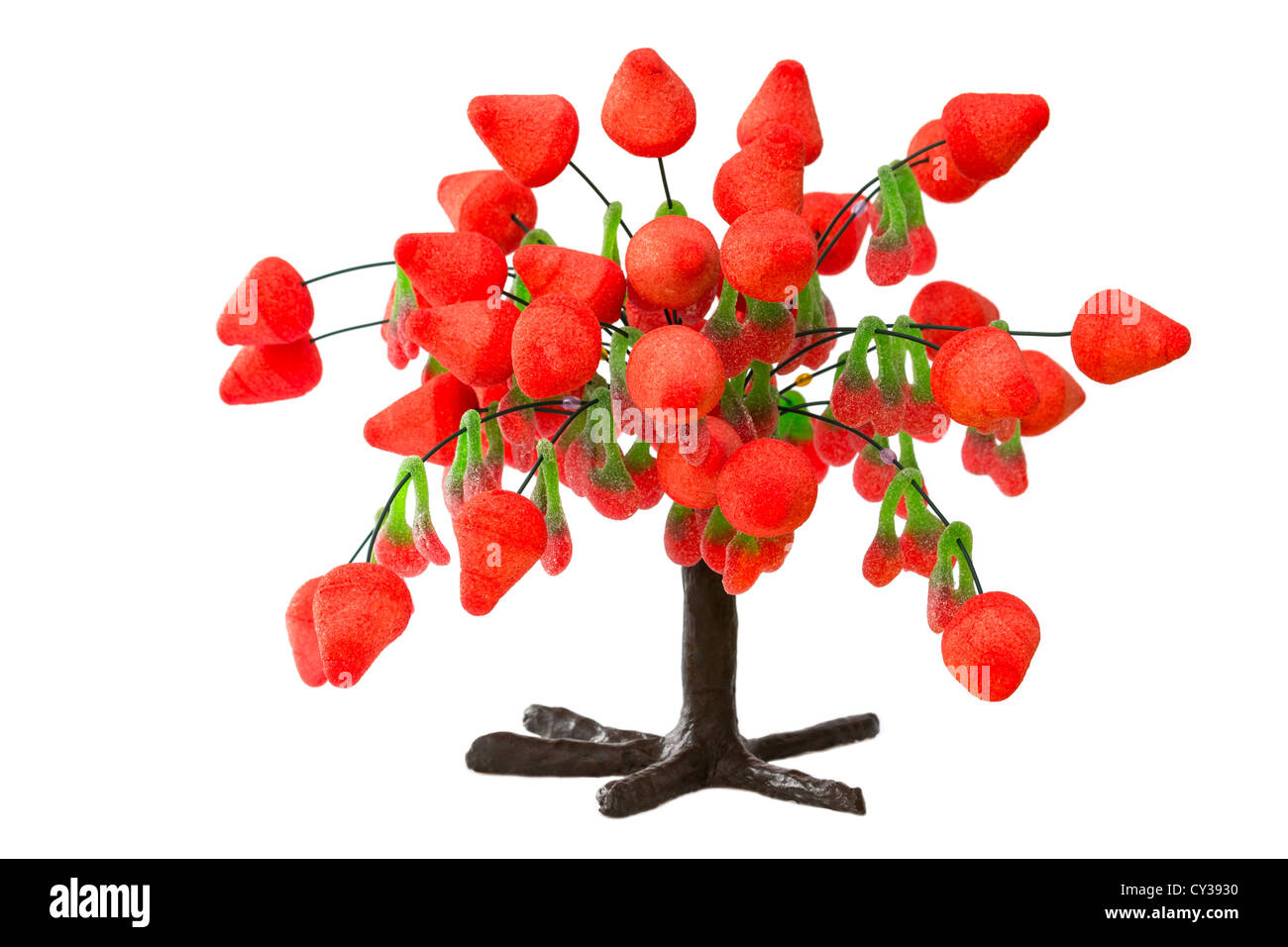 Tree dental hi-res stock photography and images - Alamy