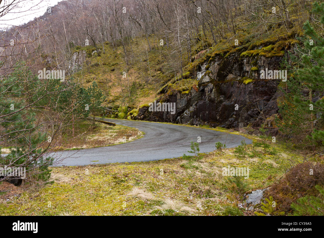 unused, run-down road in rural landscape - norway Stock Photo - Alamy