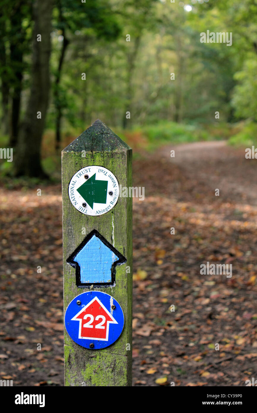 Abinger hammer surrey england uk hi-res stock photography and images ...