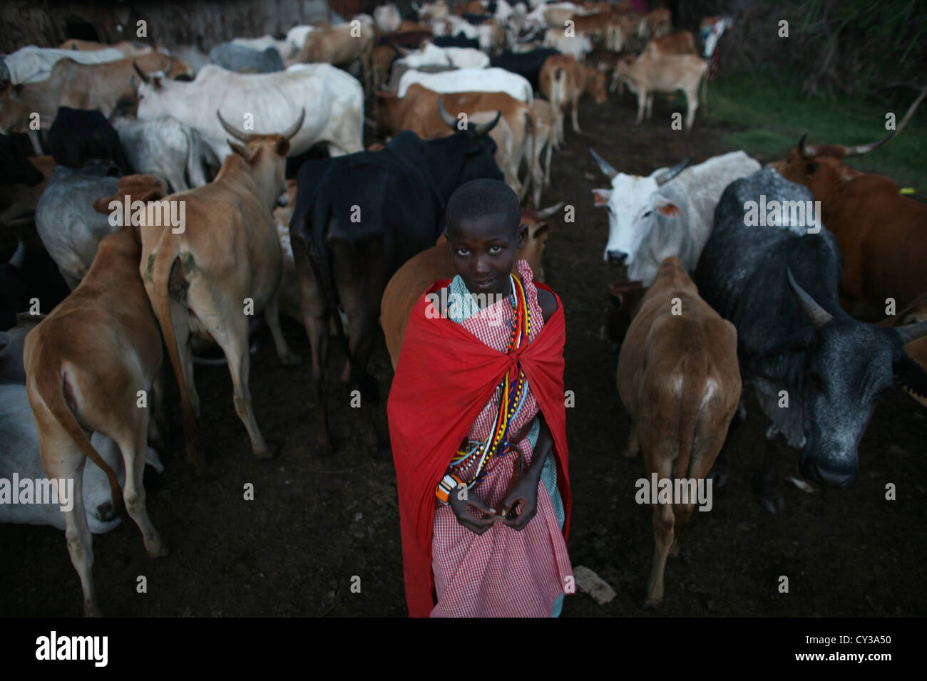 Maasai tribe in Kenya Stock Photo - Alamy