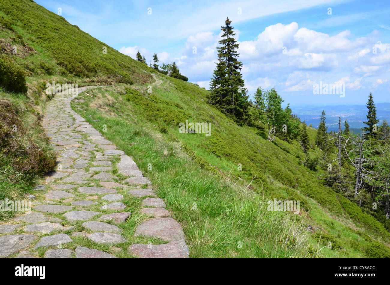 Divide sky forest stone hi-res stock photography and images - Alamy