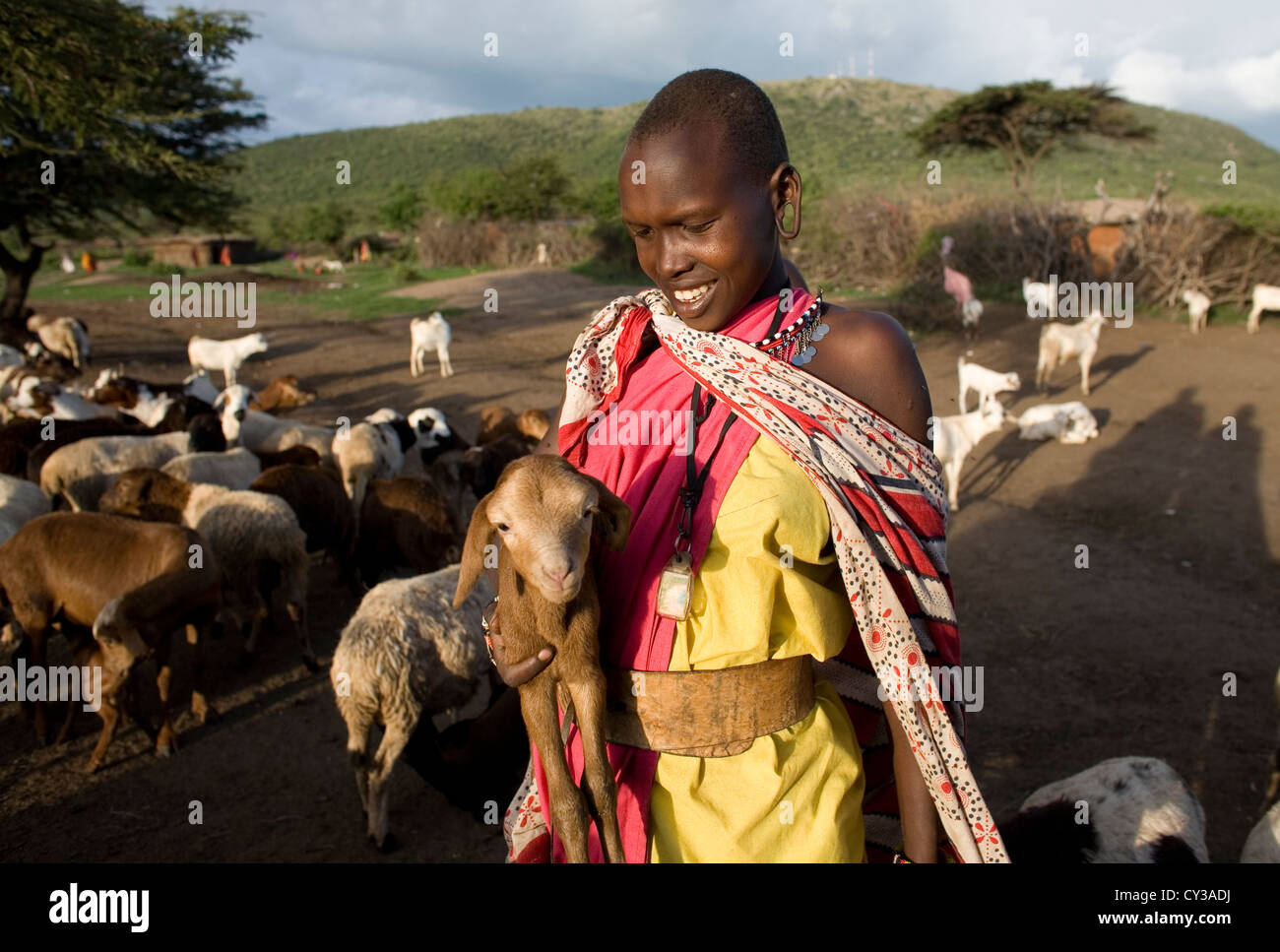 Maasai tribe in Kenyafarming, farm, agriculture, goat, goats, sheep ...