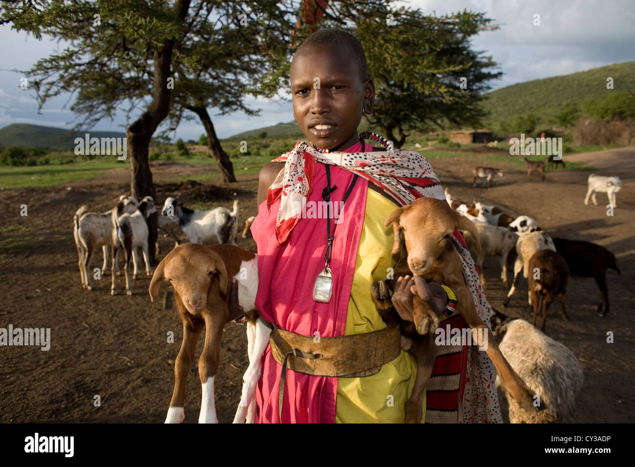 Maasai tribe in Kenyafarming, farm, agriculture, goat, goats, sheep ...