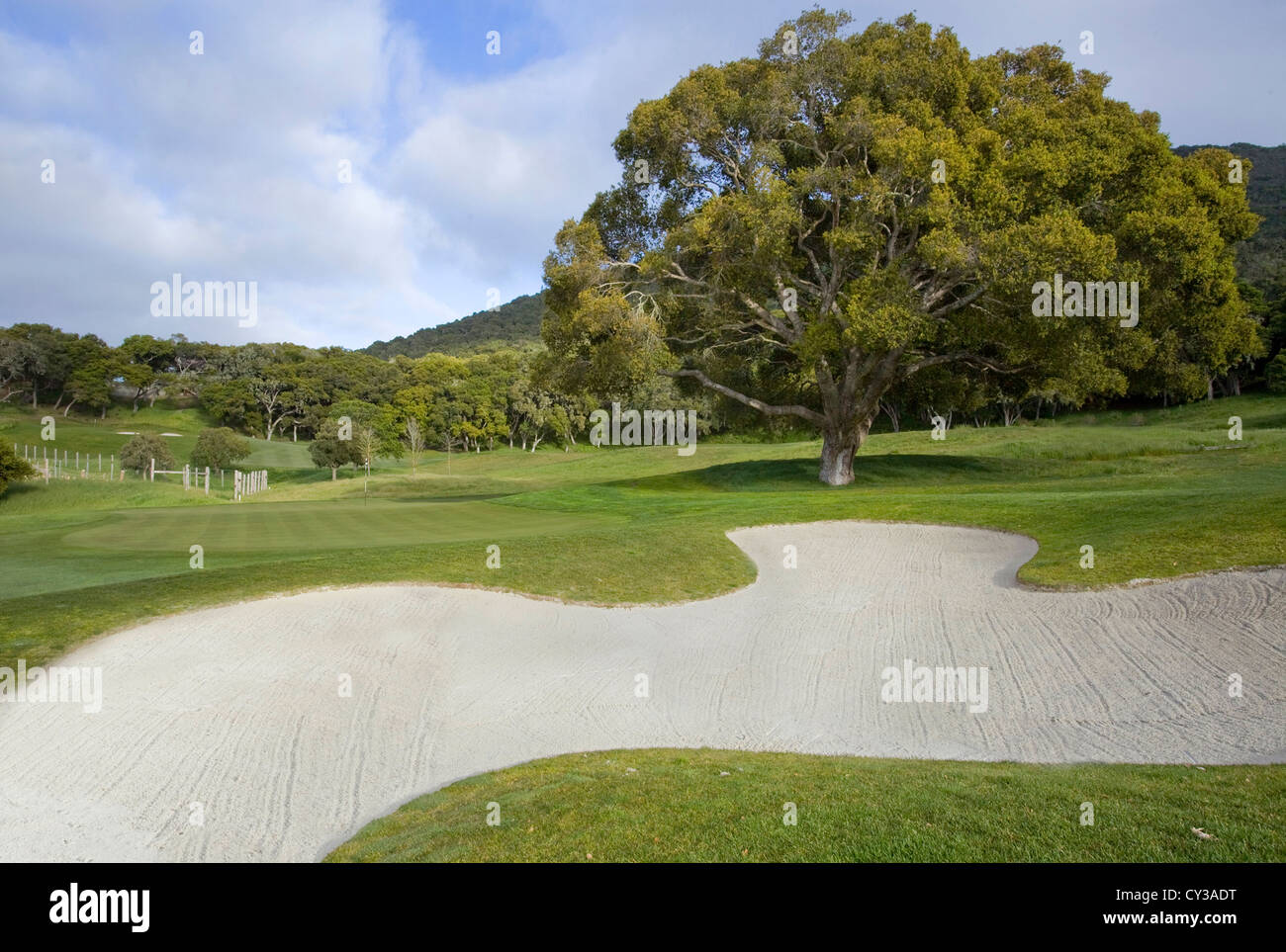 Carmel valley hi-res stock photography and images - Alamy