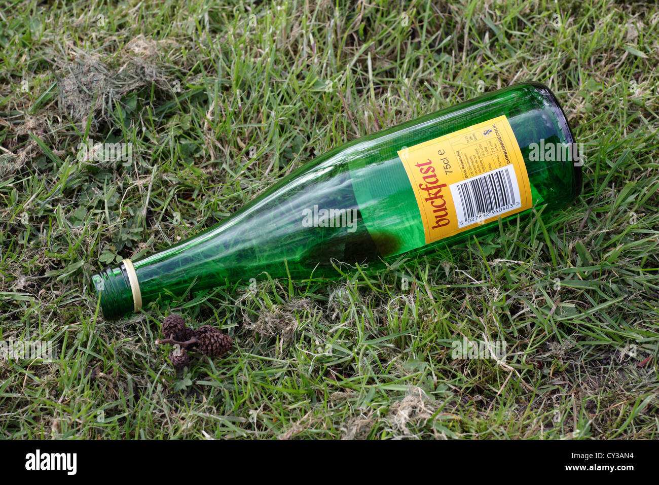 Empty buckfast bottles glasgow hi-res stock photography and images - Alamy