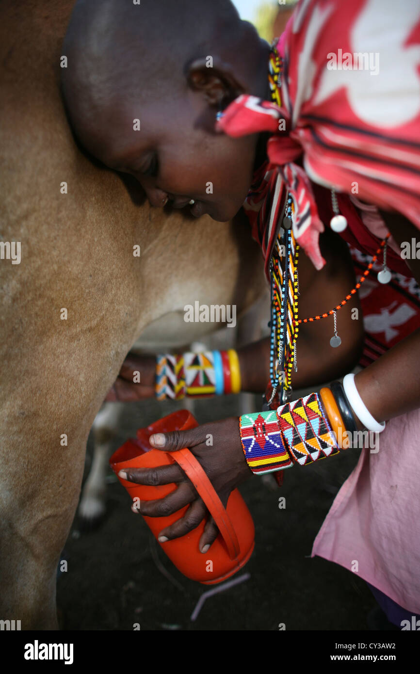 African milking cow hi-res stock photography and images - Alamy