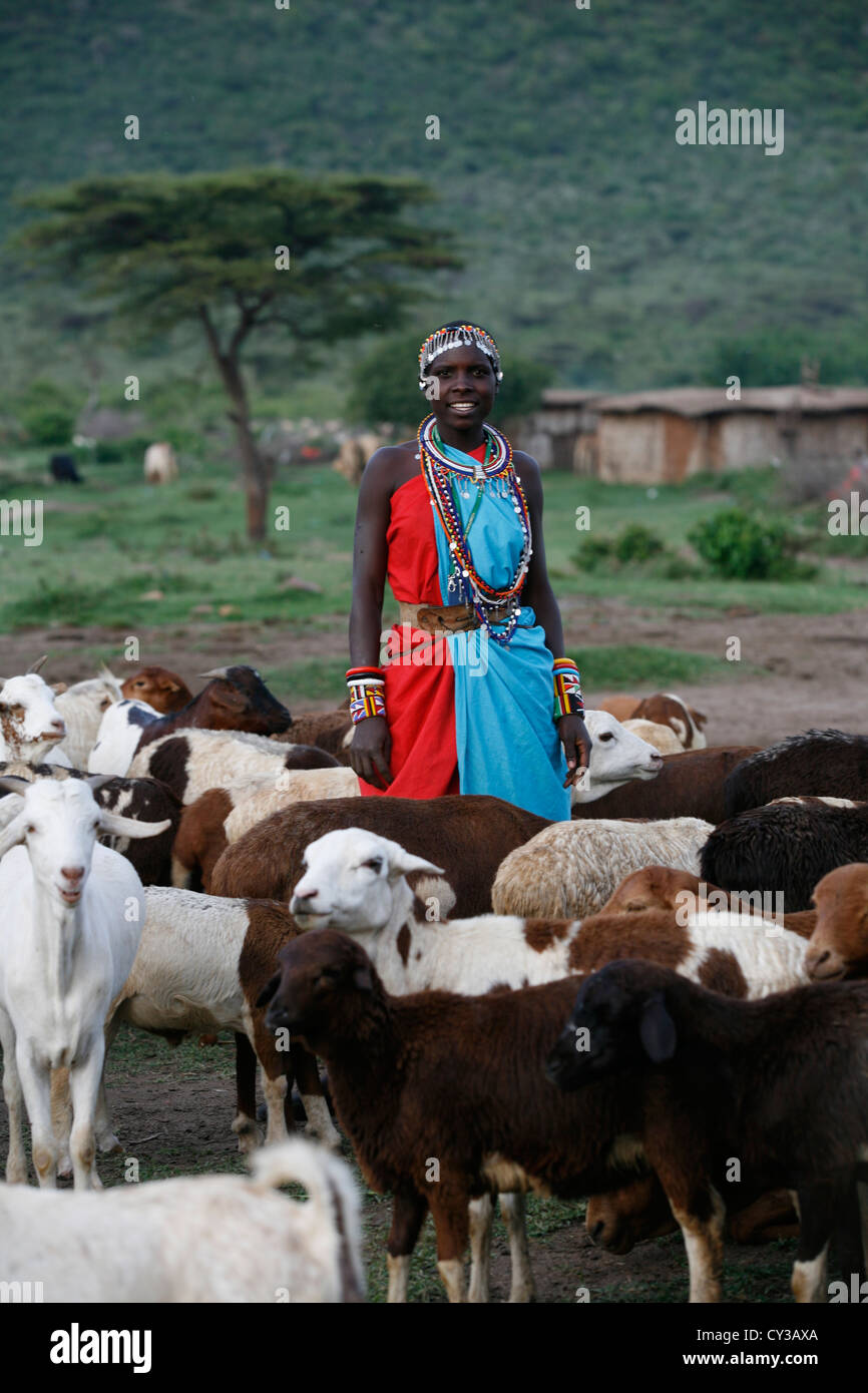 Maasai goat herd hi-res stock photography and images - Alamy
