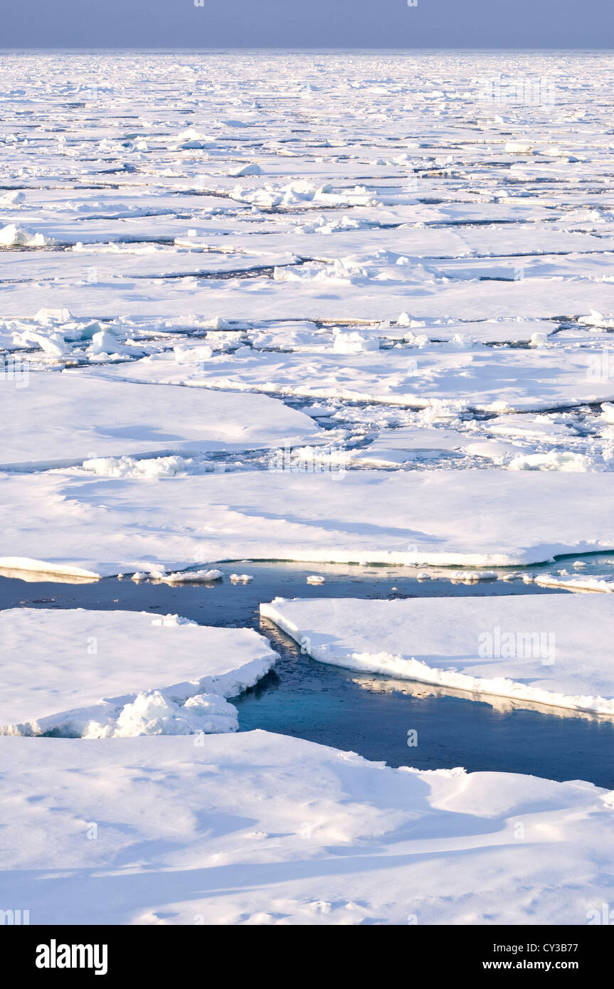 Pancake ice, Greenland Sea, East Coast of Greenland Stock Photo - Alamy