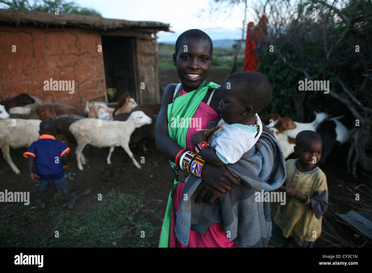 Maasai tribe in Kenyafarming, farm, agriculture, goat, goats, sheep ...