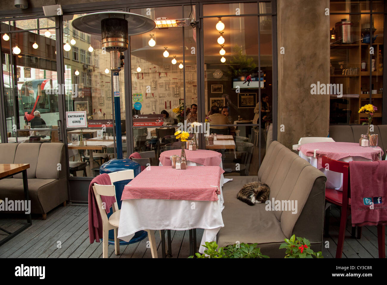 Istanbul cat hi-res stock photography and images - Alamy