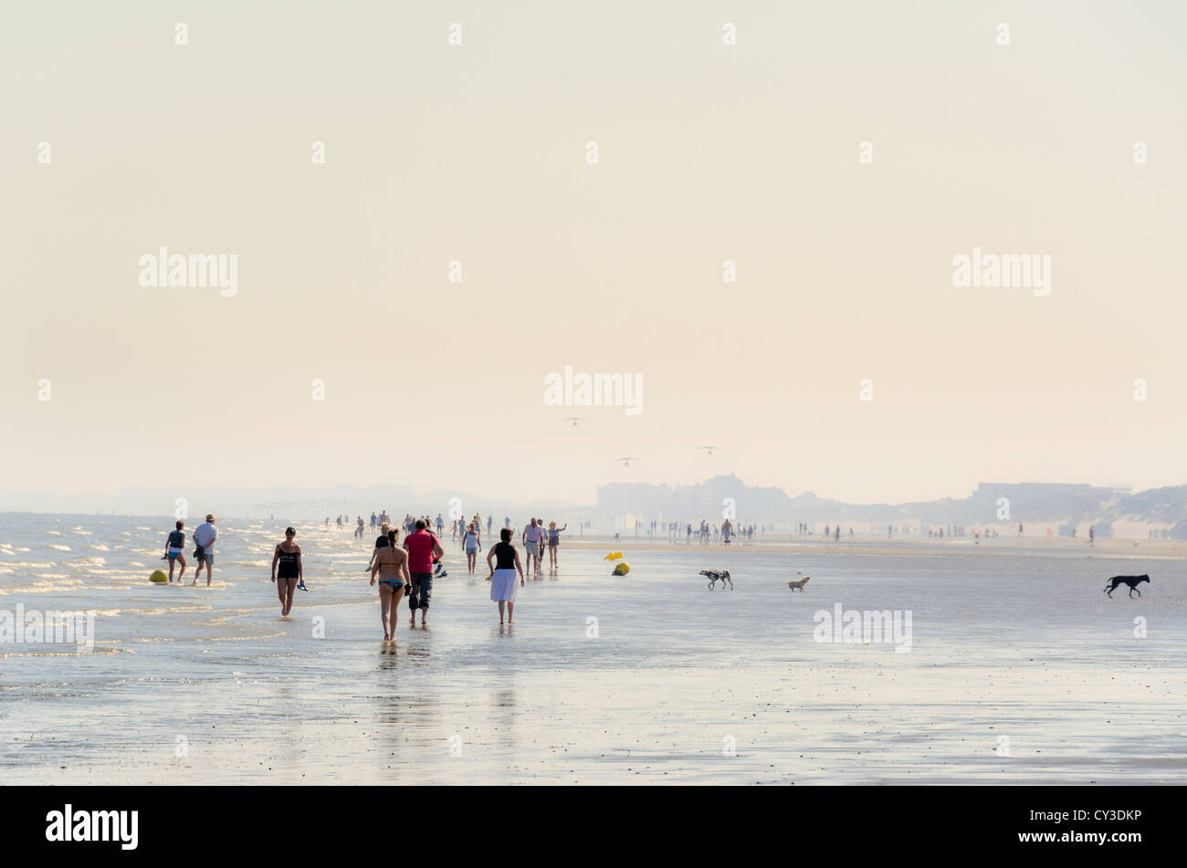 Dunkirk beach, Northern France Stock Photo - Alamy