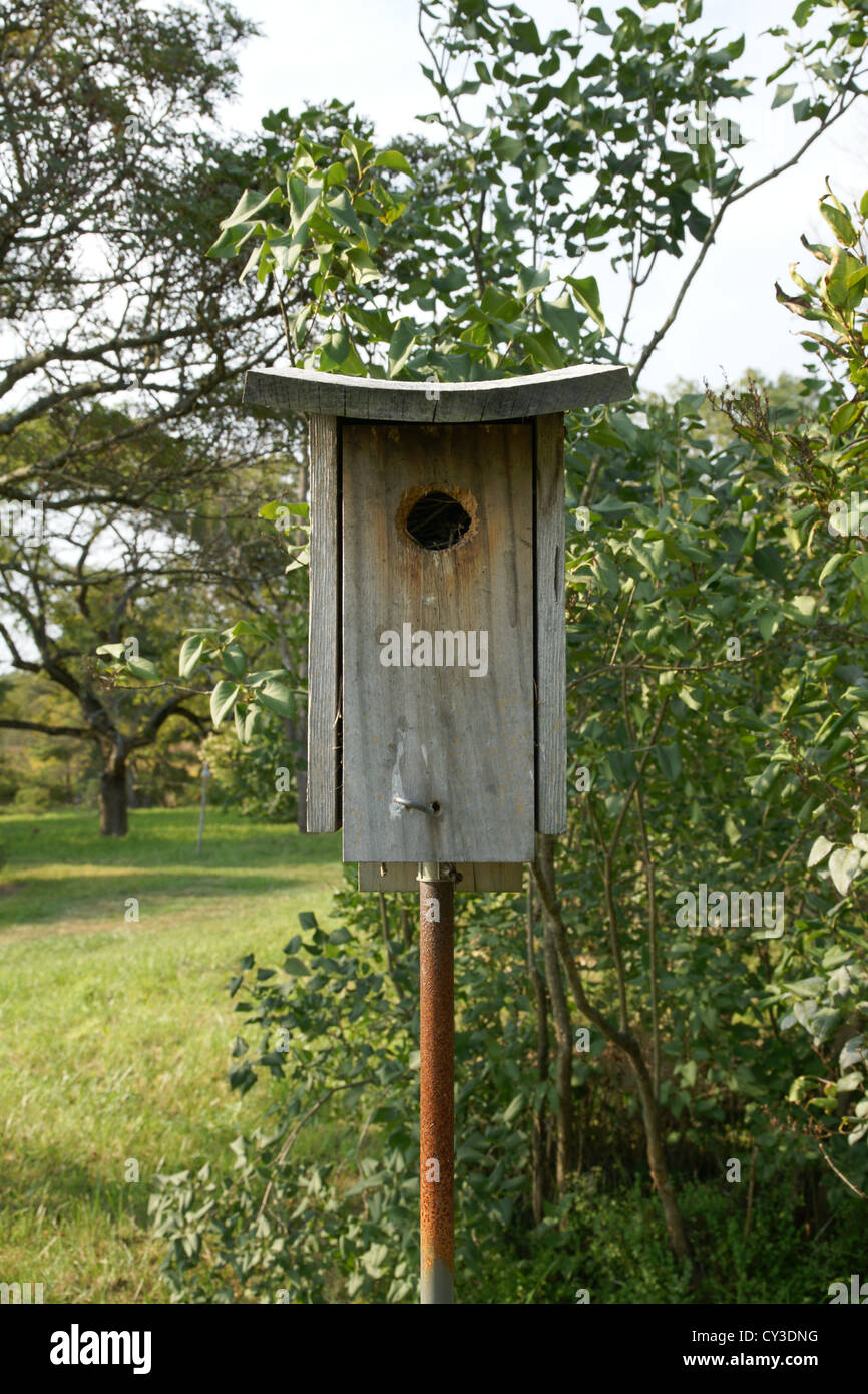 Wooden bird box in a garden setting Stock Photo - Alamy