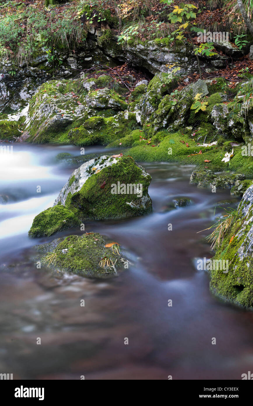 Waterscape, green hi-res stock photography and images - Alamy