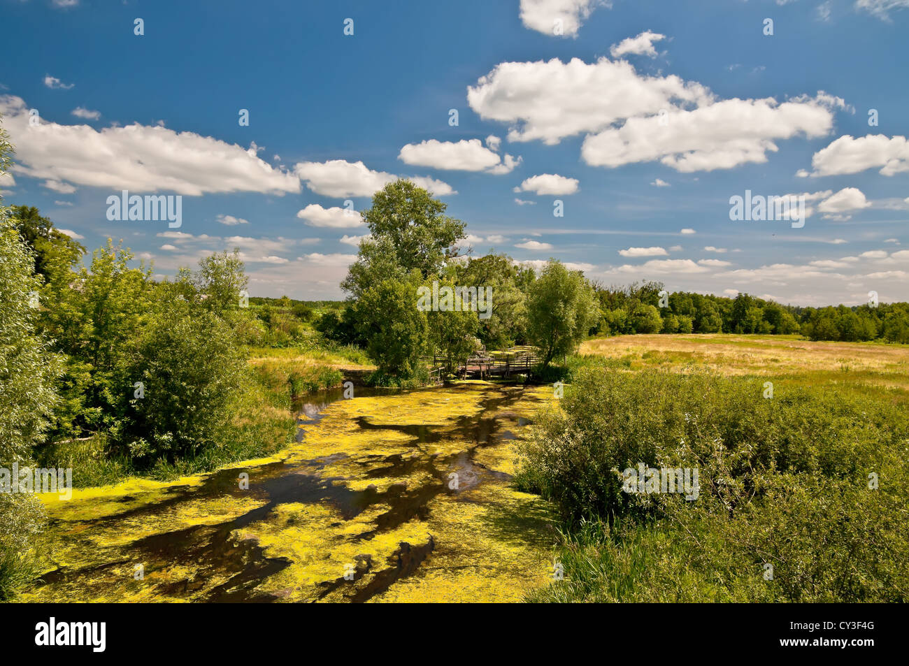 Pastoral landscape with a wooden bridge. River Valley Rosava, Kyiv ...