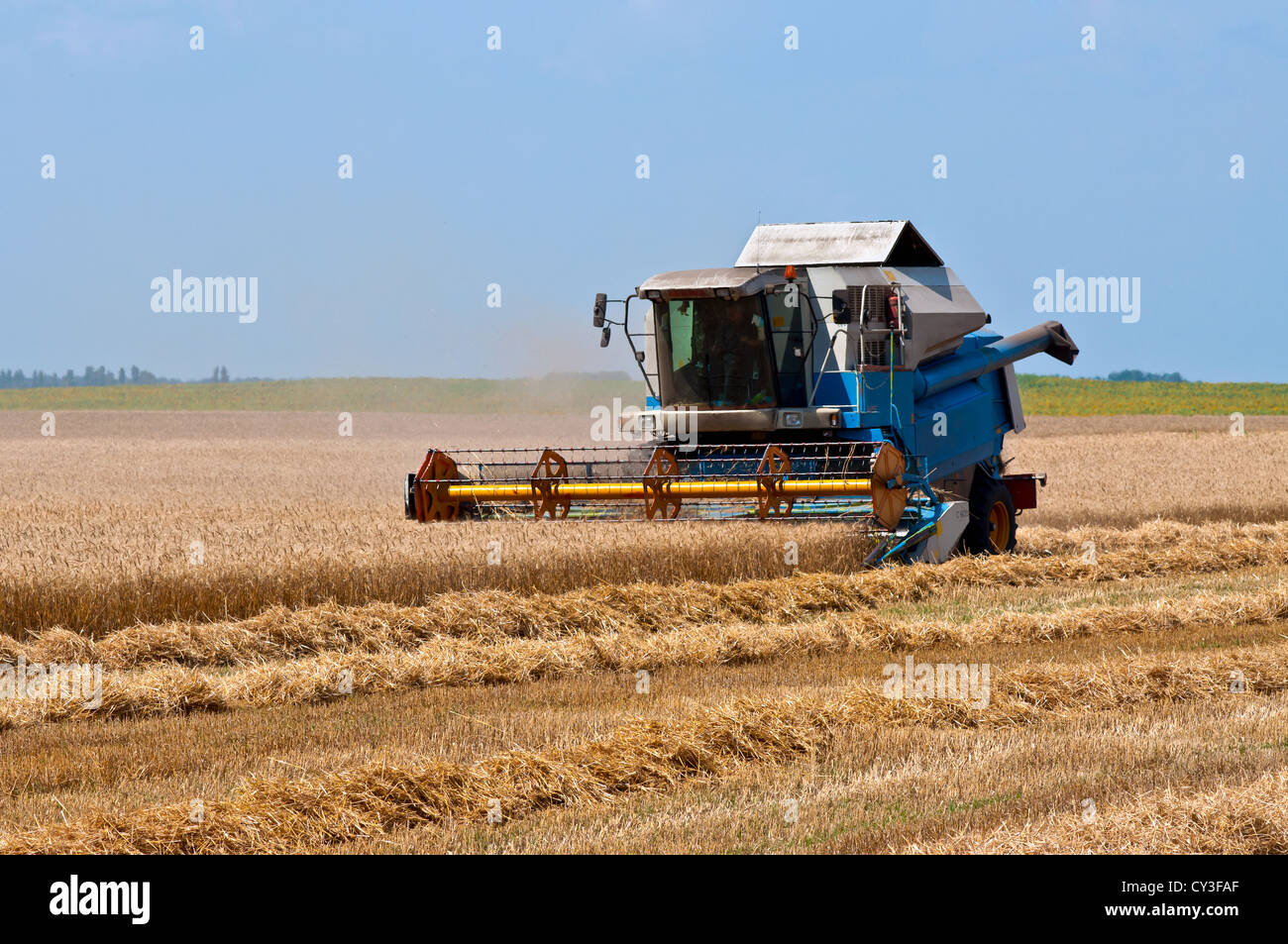 Combine cutting wheat hi-res stock photography and images - Alamy
