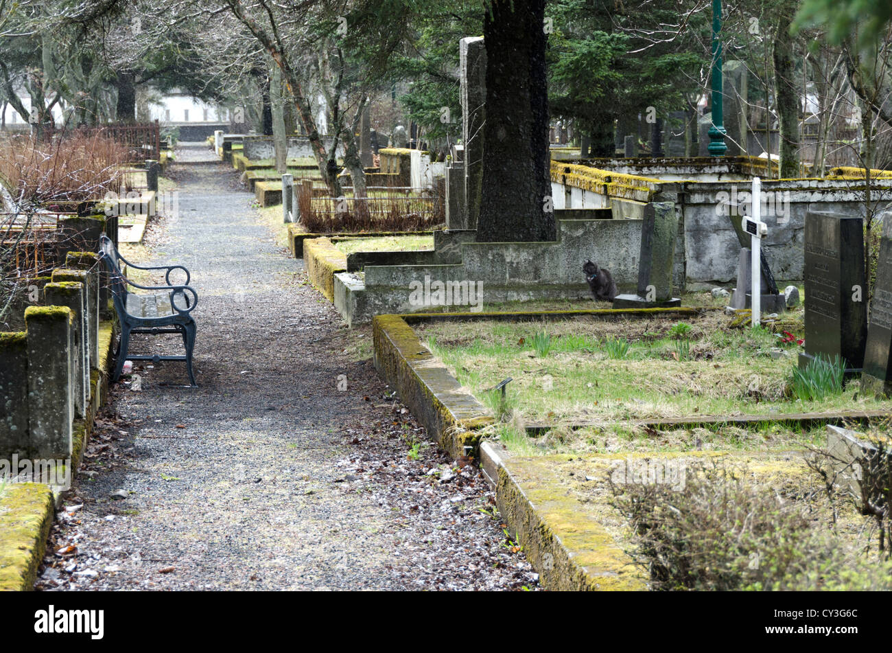 Rainy graveyard Reykjavik Iceland Stock Photo - Alamy