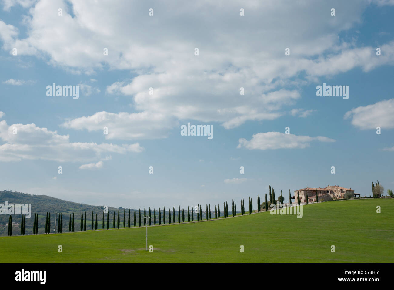 Tuscan farm with row of cyprus trees leading quintessentially to the ...