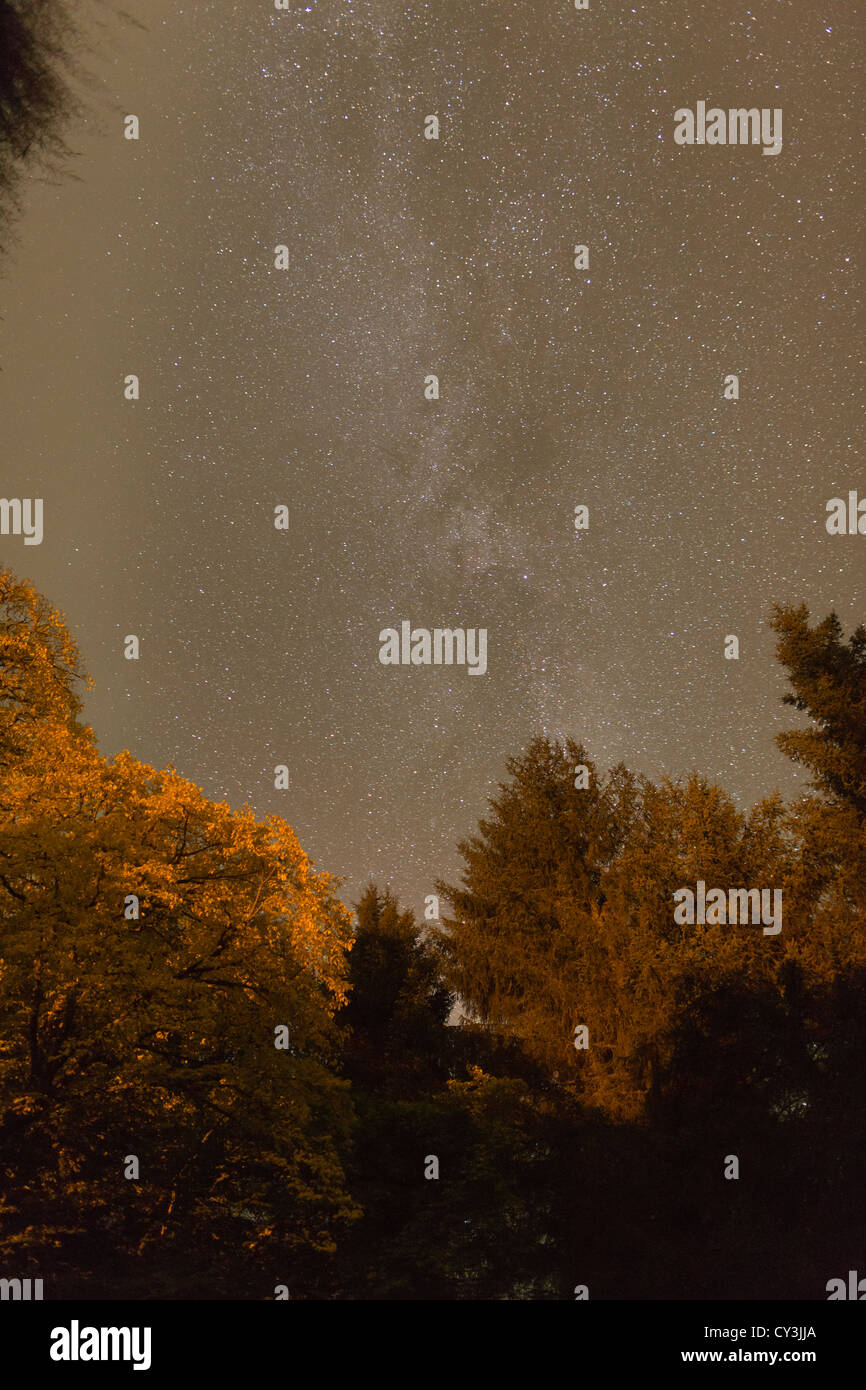 The Milky Way with trees Stock Photo - Alamy