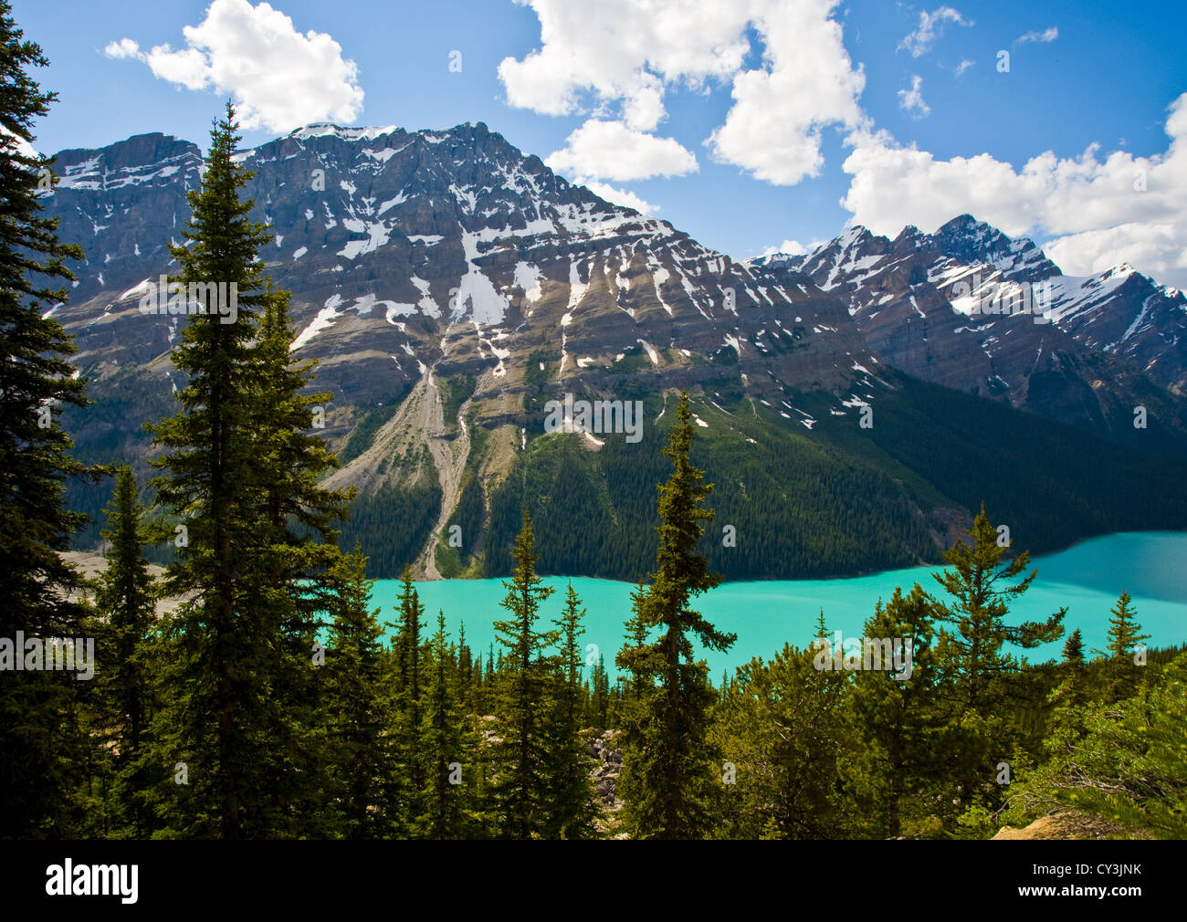 lake view in Jasper National Park Stock Photo - Alamy