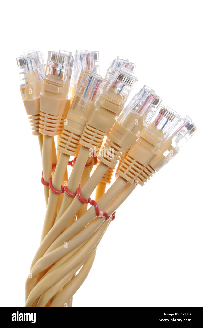 Bundle yellow network cable to the office network Stock Photo - Alamy