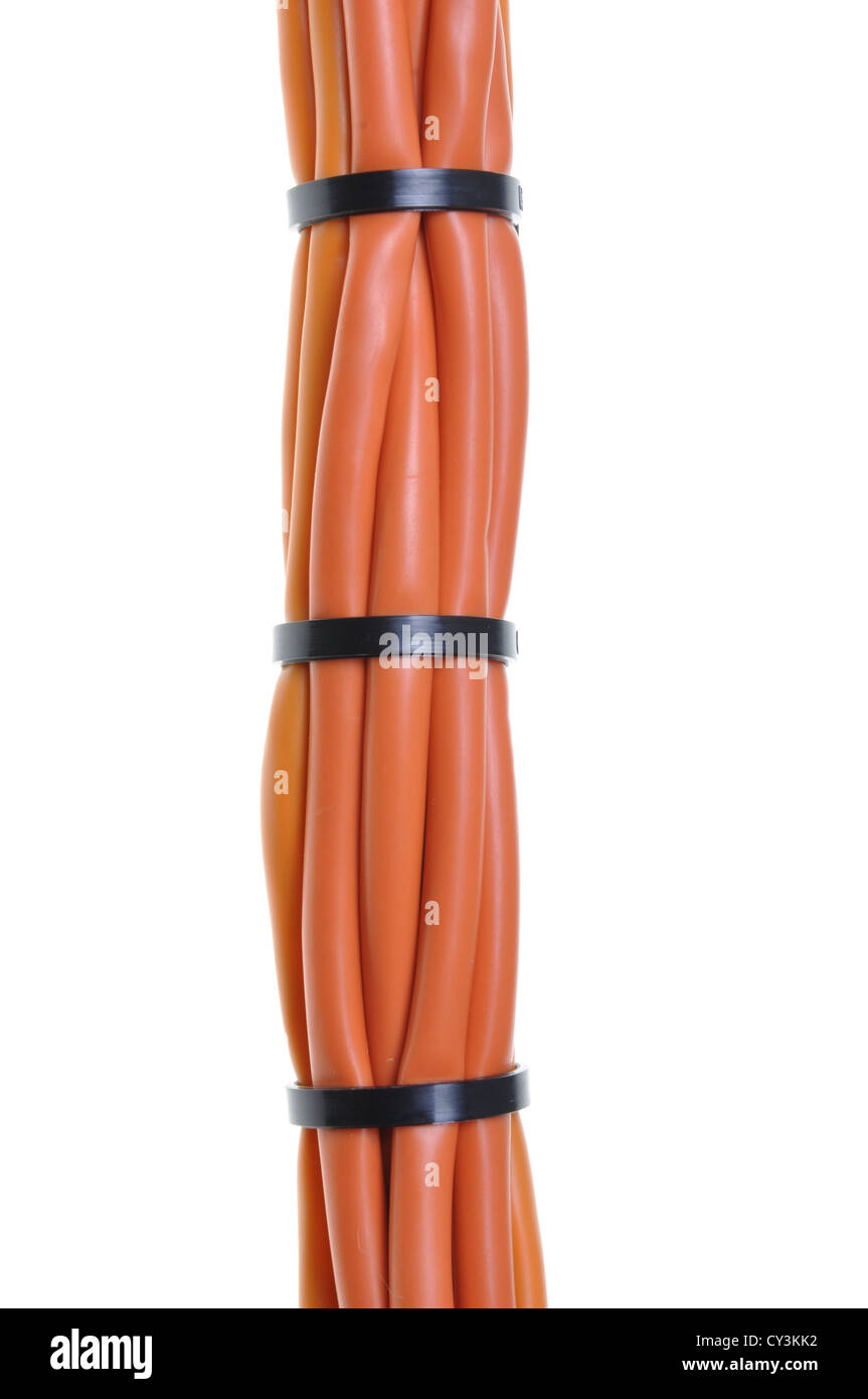 Orange network cables in office networks Stock Photo - Alamy