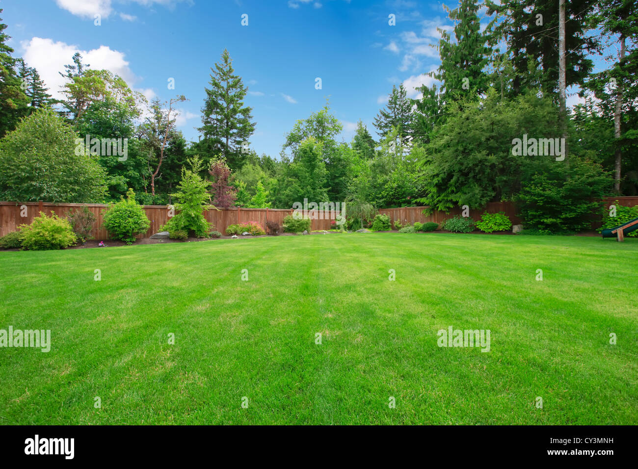 Green grass and trees outside large windows hi-res stock photography ...