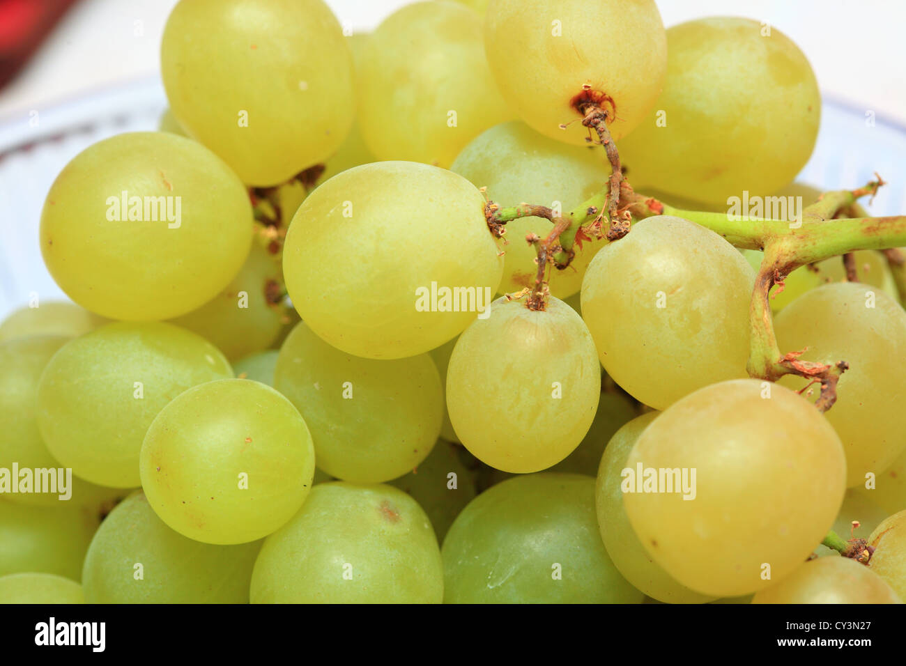 fresh grape fruits Stock Photo - Alamy