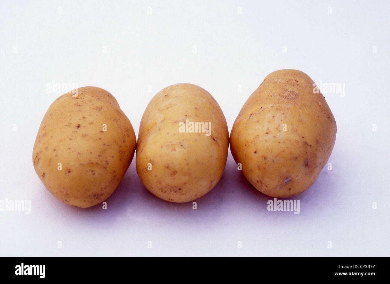 Pentland crown potato hi-res stock photography and images - Alamy