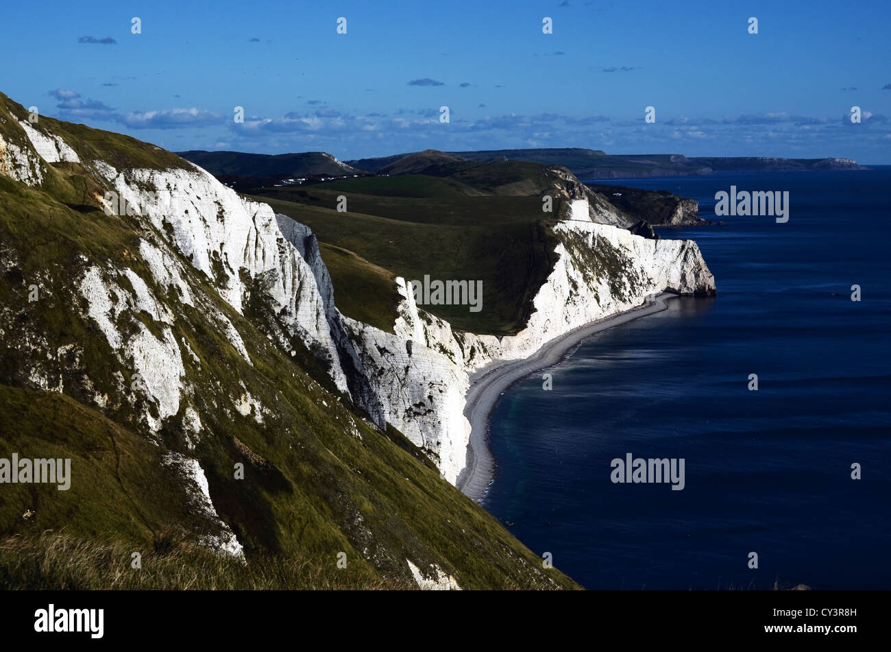 Purbeck fossils hi-res stock photography and images - Alamy