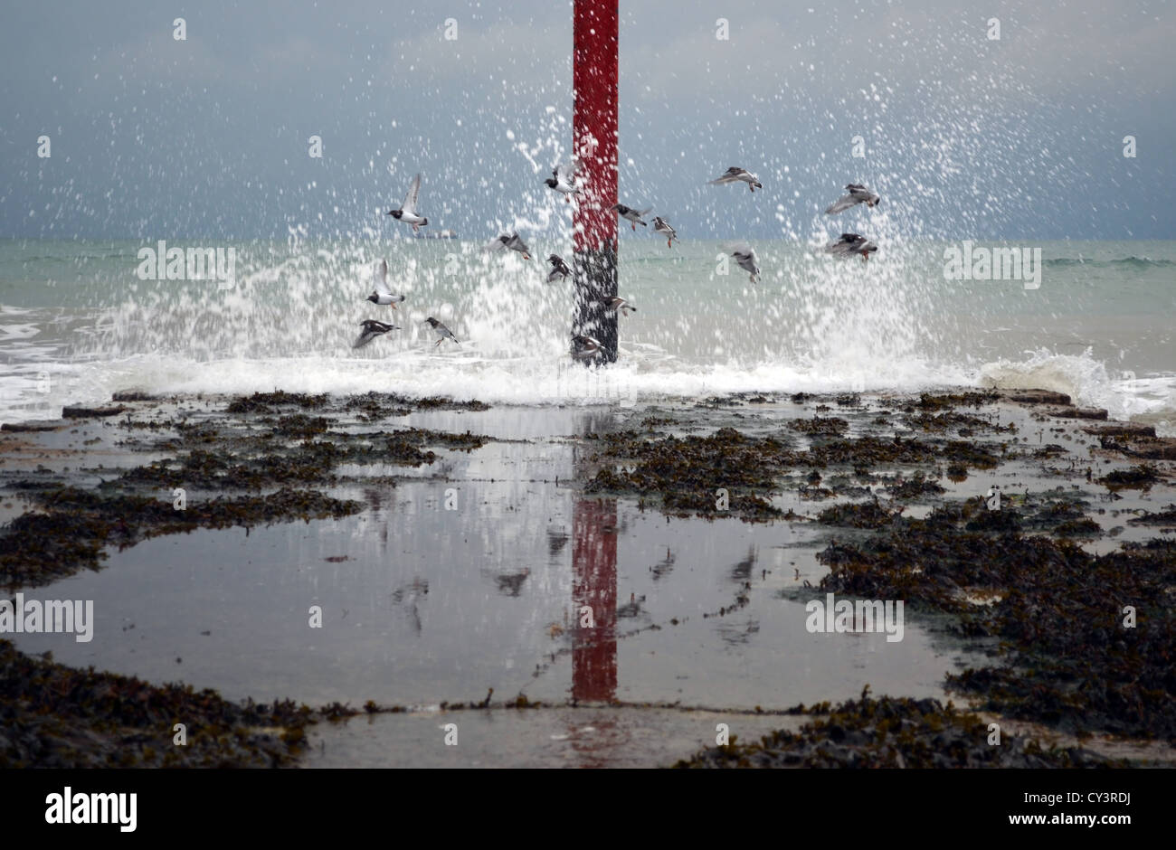 Drenching hi-res stock photography and images - Alamy