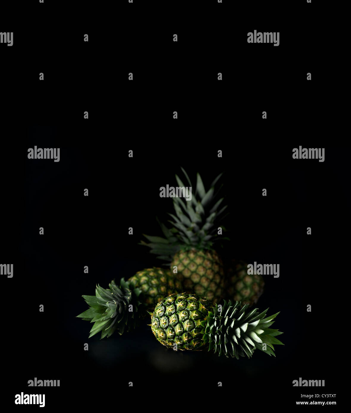 Anananas comosus hi-res stock photography and images - Alamy